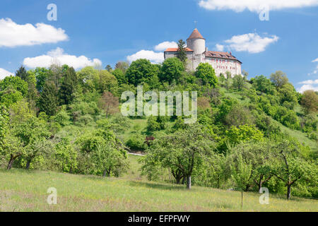 Burg Reichenberg, Oppenweiler, Rems Murr Kreis (district), Baden ...