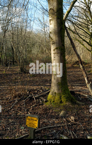 UK Wales Cardiff Forest Farm Nature Reserve and Taff Trail Horseriding ...