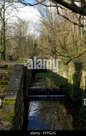 Glamorgan Canal Nature Reserve, Whitchurch Cardiff, South Wales, UK ...