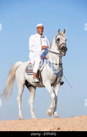 Arabian Horse Rider traditional dress gray stallion galloping the ...