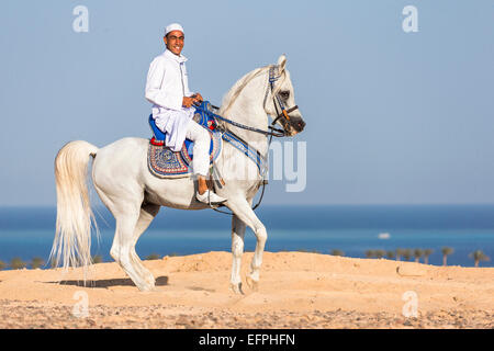 Arabian Horse Rider traditional dress gray stallion galloping the ...