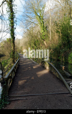 Glamorgan Canal Nature Reserve, Whitchurch Cardiff, South Wales, UK ...