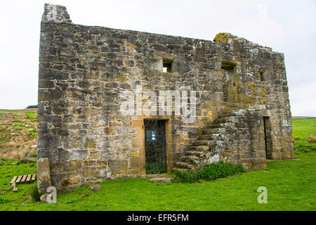 Black Middens bastle, Tarset, Northumberland, UK Stock Photo - Alamy