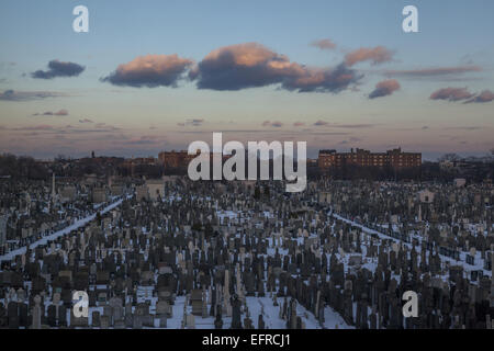 tombstones in Washington Cemetery Brooklyn New York City Stock Photo ...