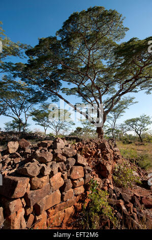 Ziwa Ruins Zimbabwe Stock Photo: 2412090 - Alamy