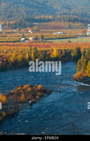 Fall color along the Wenatchee River and orchards near the town of ...