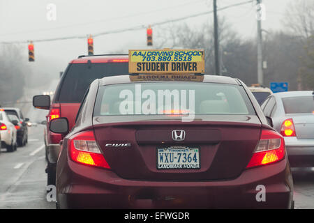 Student driver (learner driver) sign on car - USA Stock Photo - Alamy