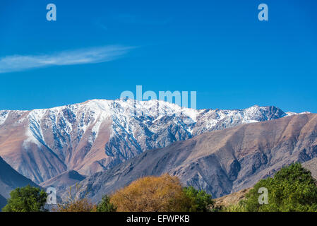View of Andes mountains from green valley near Mendoza. Argentina ...