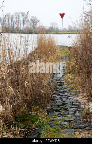 Groin in river Stock Photo - Alamy