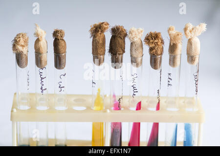 Rack with test tubes, plastic bottle, pipette vials with chemicals ...