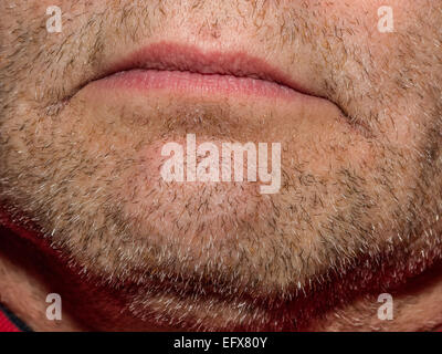 Macro close-up image of a heavily stubbled male chin showing beard ...