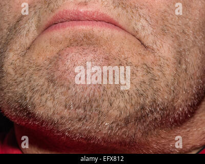 Macro close-up image of a heavily stubbled male chin showing beard ...