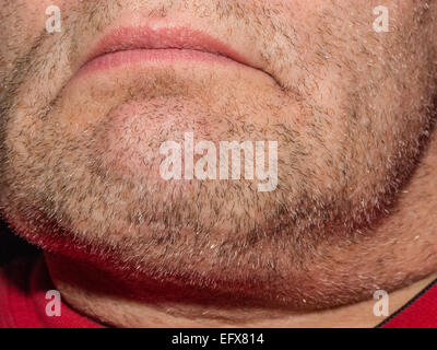Macro close-up image of a heavily stubbled male chin showing beard ...
