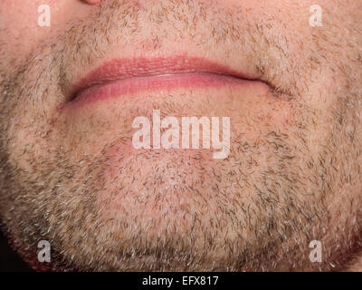 Macro close-up image of a heavily stubbled male chin showing beard ...
