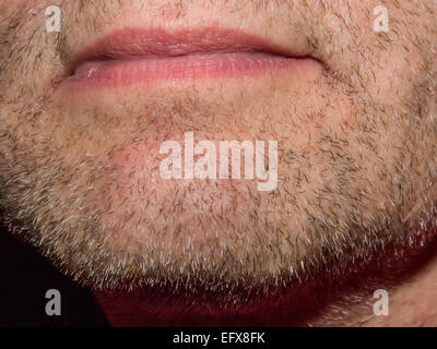 Macro close-up image of a heavily stubbled male chin showing beard ...