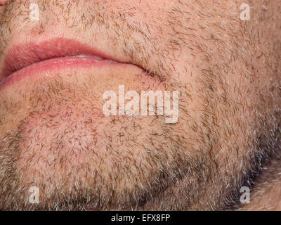 Macro close-up image of a heavily stubbled male chin showing beard ...
