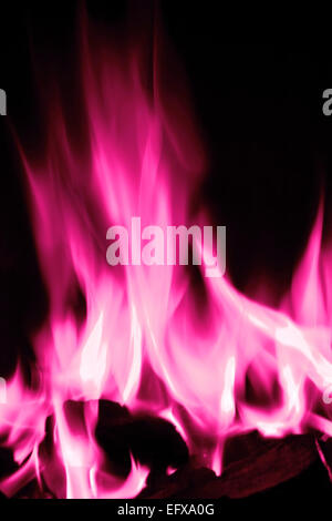 Pink fire flames isolated on white background Stock Photo - Alamy