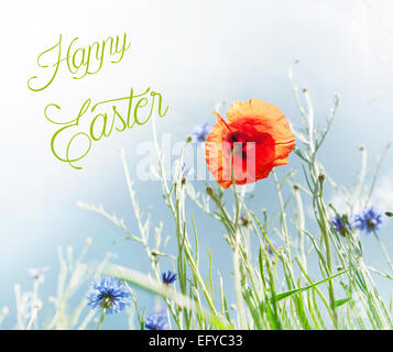 Spring Flowers, Text Happy Easter Stock Photo - Alamy