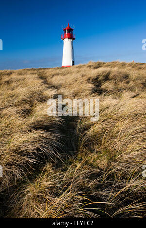 List-West Lighthouse, Ellenbogen, List, Sylt, Schleswig-Holstein ...