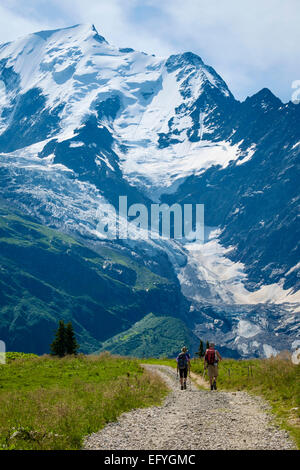 French Alps, summer, mountains, hiking, nature, forest, climate change ...
