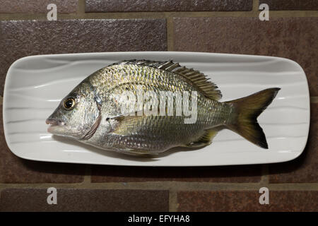 A photograph of a Yellowfin Bream on a dinner plate. The photograph was ...