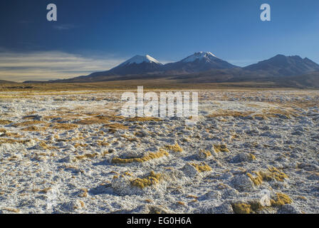 Scenic view of bolivian volcanoes, highest peaks in Sajama national ...
