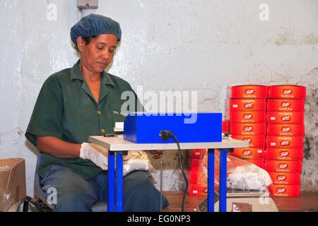 Tea production at the tea factory of the Seychelles Trading Company ...