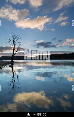 Sunrise over Loch Ard in The Lomond and Trossachs National Park ...
