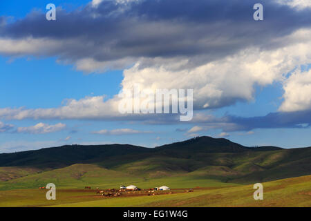 Landscape near Bulgan, Mongolia Stock Photo - Alamy
