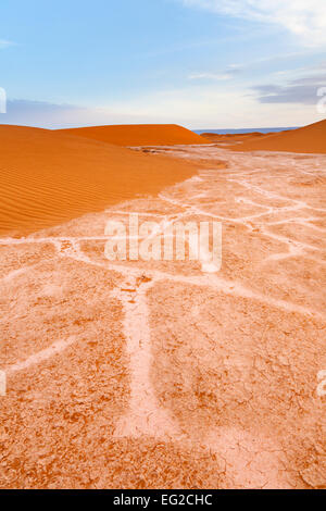 Ripples in the sand in the Moroccan desert near Foum Zguid in the south ...