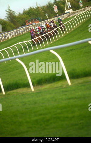 Horse Racing - Catterick Racecourse Stock Photo - Alamy