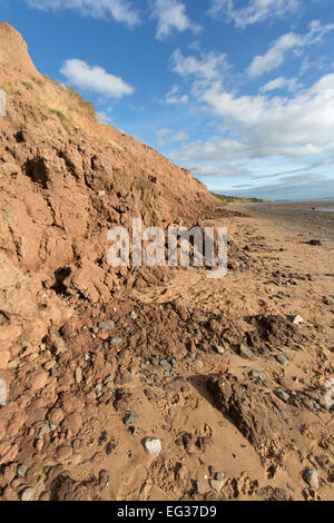 Area of Thurstaston, Wirral. View illustrating coastal erosion of the ...