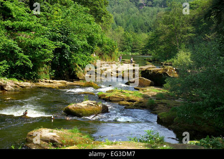 The river Coquet near Rothbury Northumberland Stock Photo - Alamy