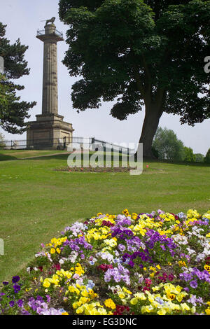 The Lion statues of the Tenantry Column at Alnwick, Northumberland ...