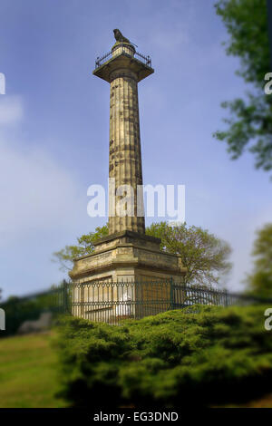 The Lion statues of the Tenantry Column at Alnwick, Northumberland ...