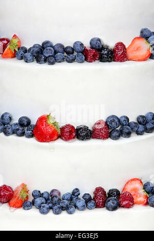 Cake with fruits on a white background. A beautiful fruity dessert ...