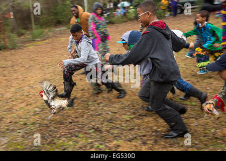 Young children chase a live chicken during the traditional Creole ...