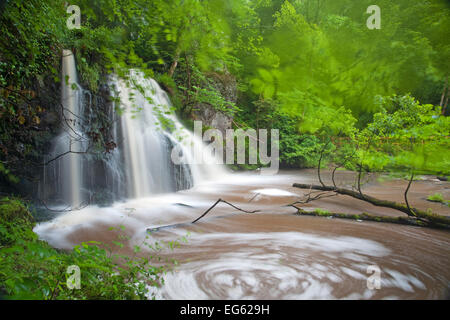 Waterfall, Fairy Glen RSPB reserve, Inverness-shire, Scotland, UK, July ...