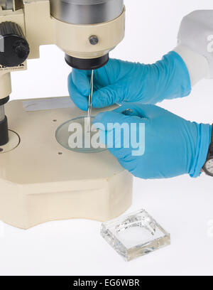 Microscope slide on microscope stage Stock Photo - Alamy