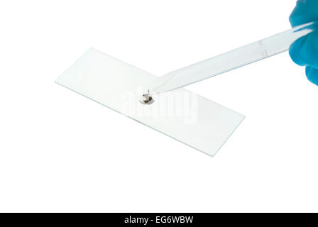Specimen analysis. Placing a specimen onto a slide mounted onto a ...