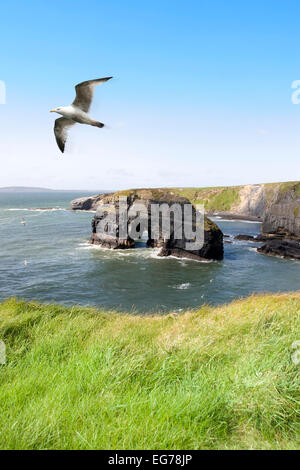 a view of the virgin rock in ballybunion ireland as seen from the ...