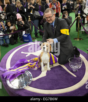 Miss P, a 15-inch beagle, and handler William Alexander, left, react ...