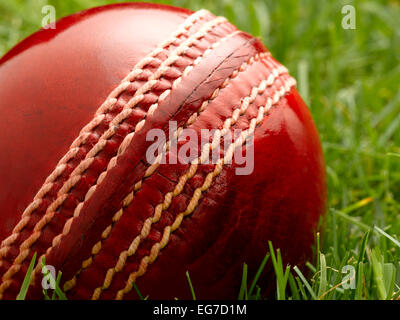 Macro of a cricket ball seam Stock Photo - Alamy