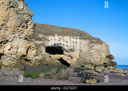Magnesium or magnesian limestone cliffs and caves at Nose's Point ...