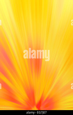 U R Unique Stock Photo - Alamy