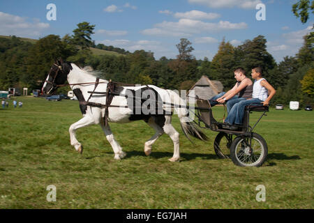 Gypsy traveller boys riding horse in River Eden. Appleby Horse Fair ...