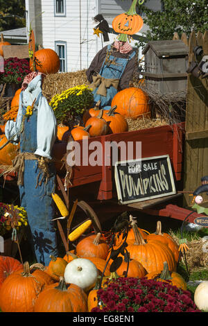 GIFTSHOP DISPLAY SMICKSBURG GREAT SHAMOKIN PATH INDIANA COUNTY ...