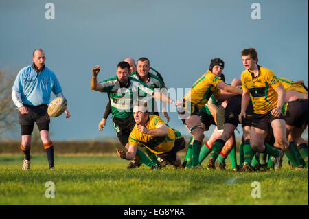 Rugby, scrum half in action Stock Photo - Alamy
