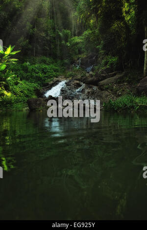 panoramic view of nice tropic jungle and huge boulders Stock Photo - Alamy