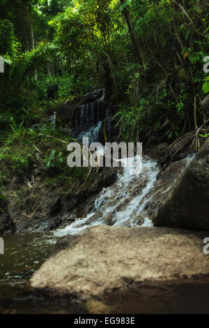 panoramic view of nice tropic jungle and huge boulders Stock Photo - Alamy